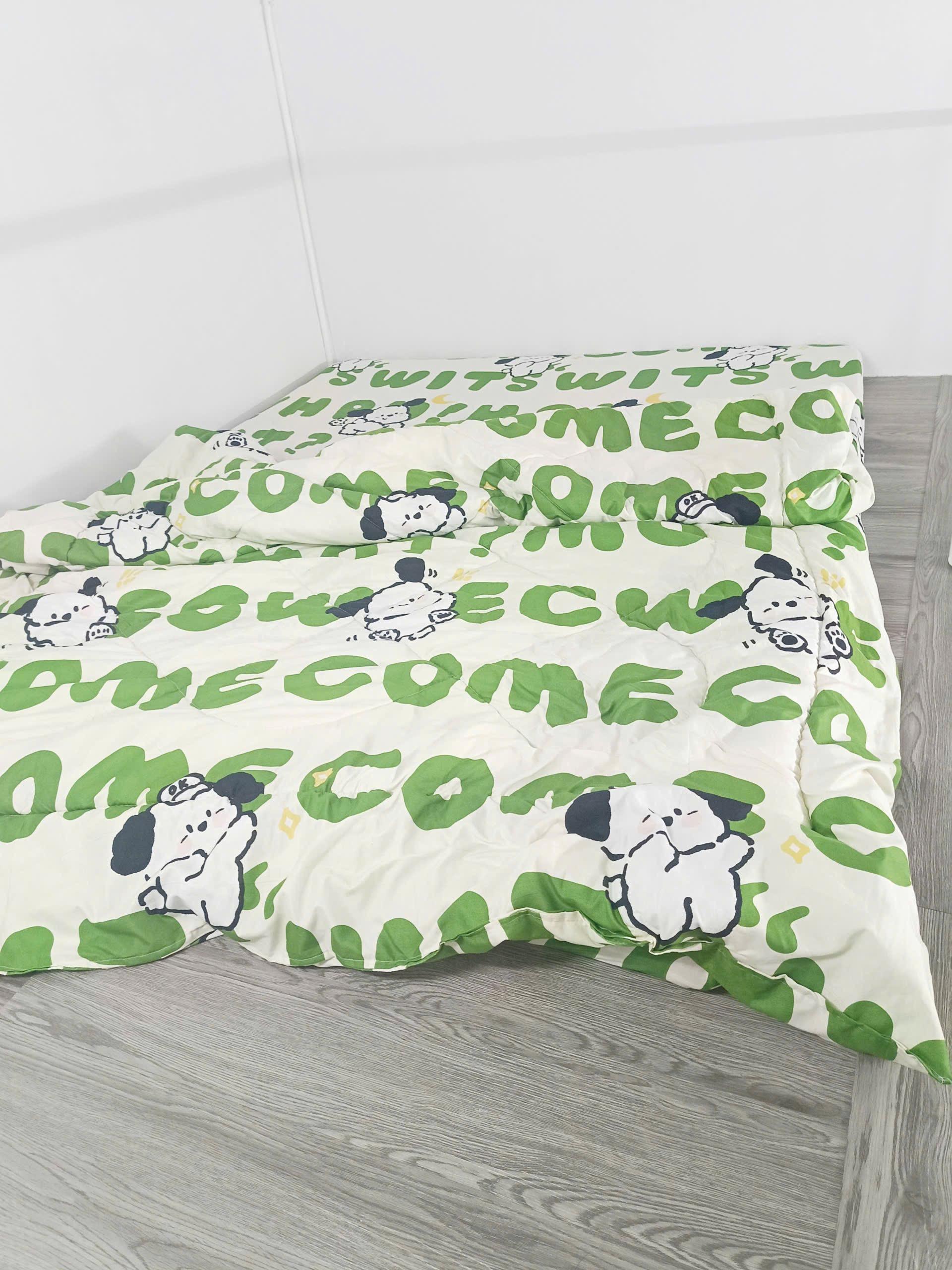 Phòng thường - Trệt - Máy lạnh - NTVN Development